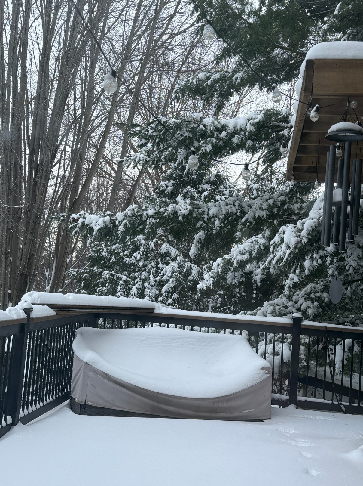 Happy New Year! | Journey to the Heights